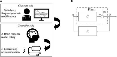 Frontiers | Delayed closed-loop neurostimulation for the treatment of pathological brain rhythms ...